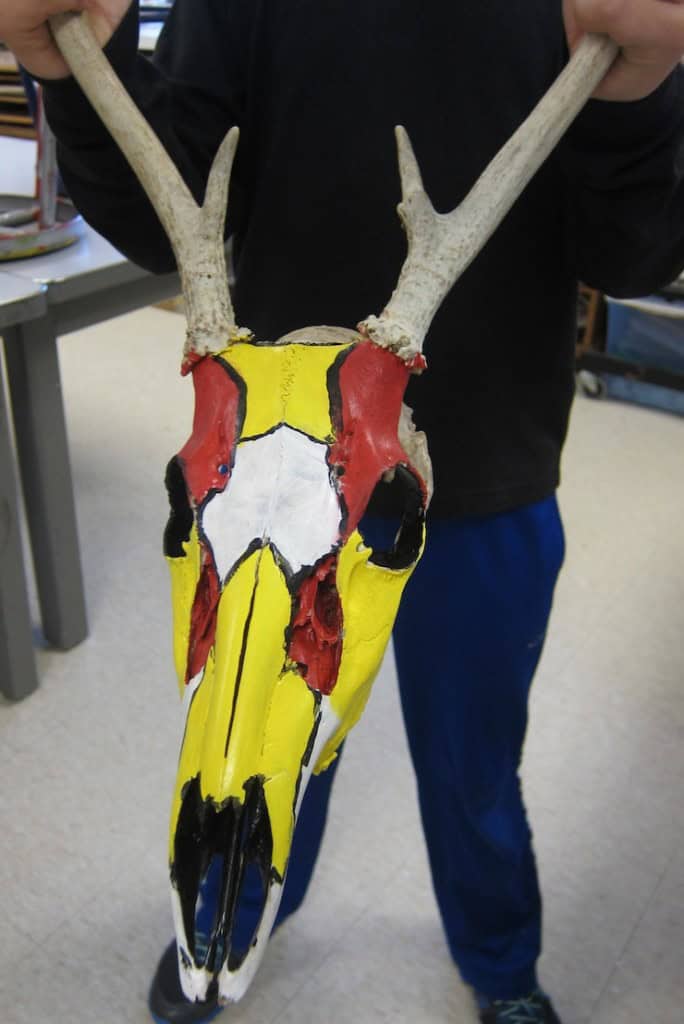 Look What a Student Brought In Today... A Painted Skull